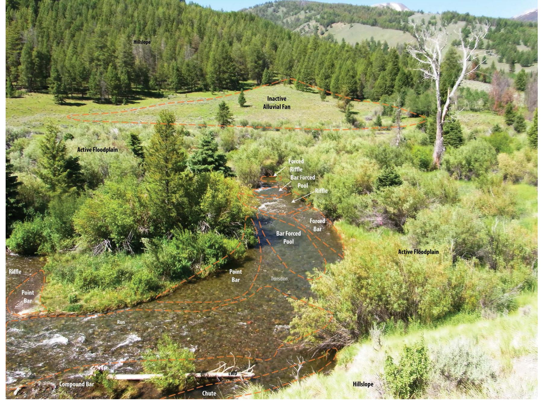 Annotated site photo looking upstream at upper portion of