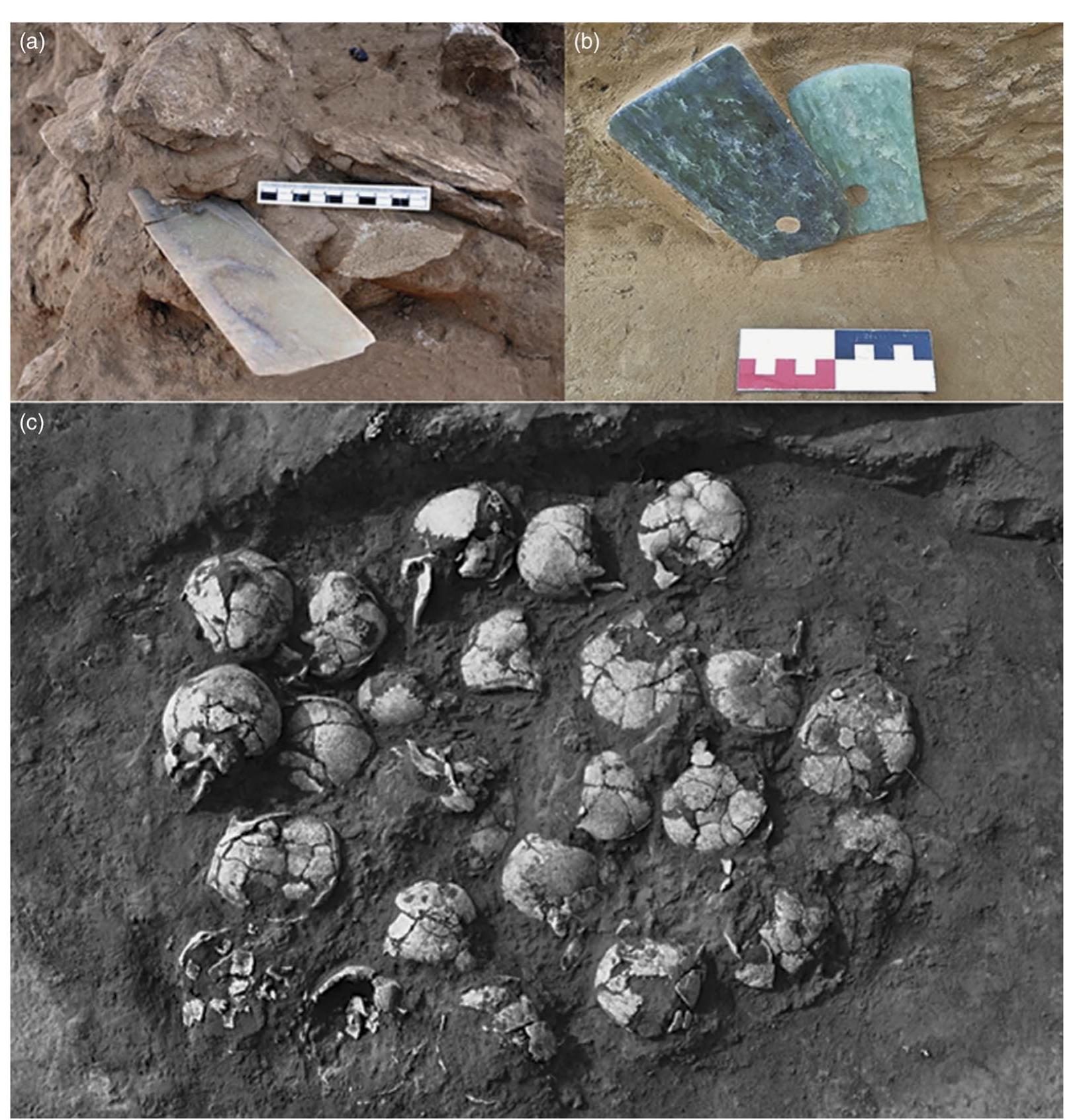 Li Zhang - Zhengzhou University