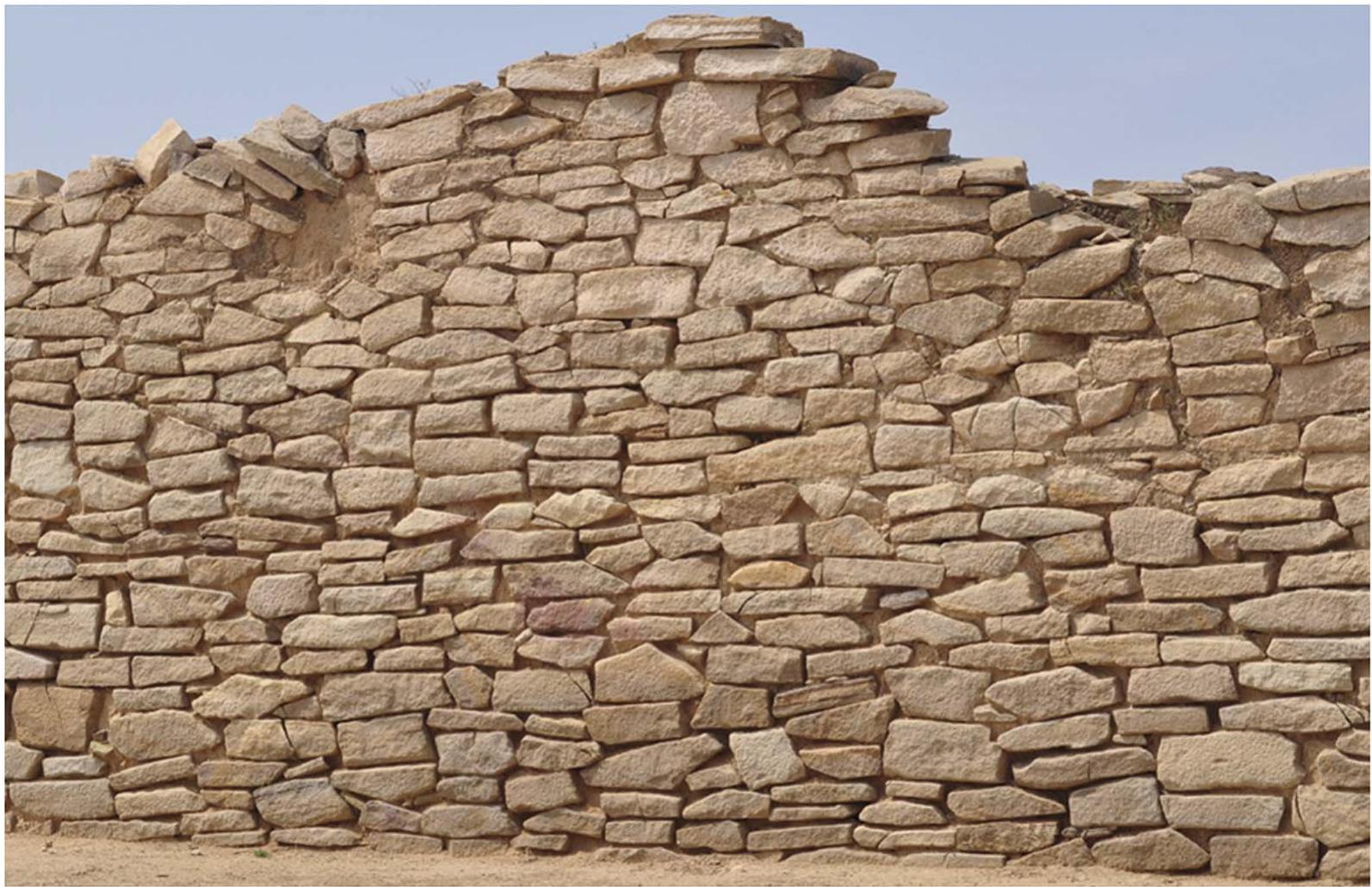 Li Zhang - Zhengzhou University