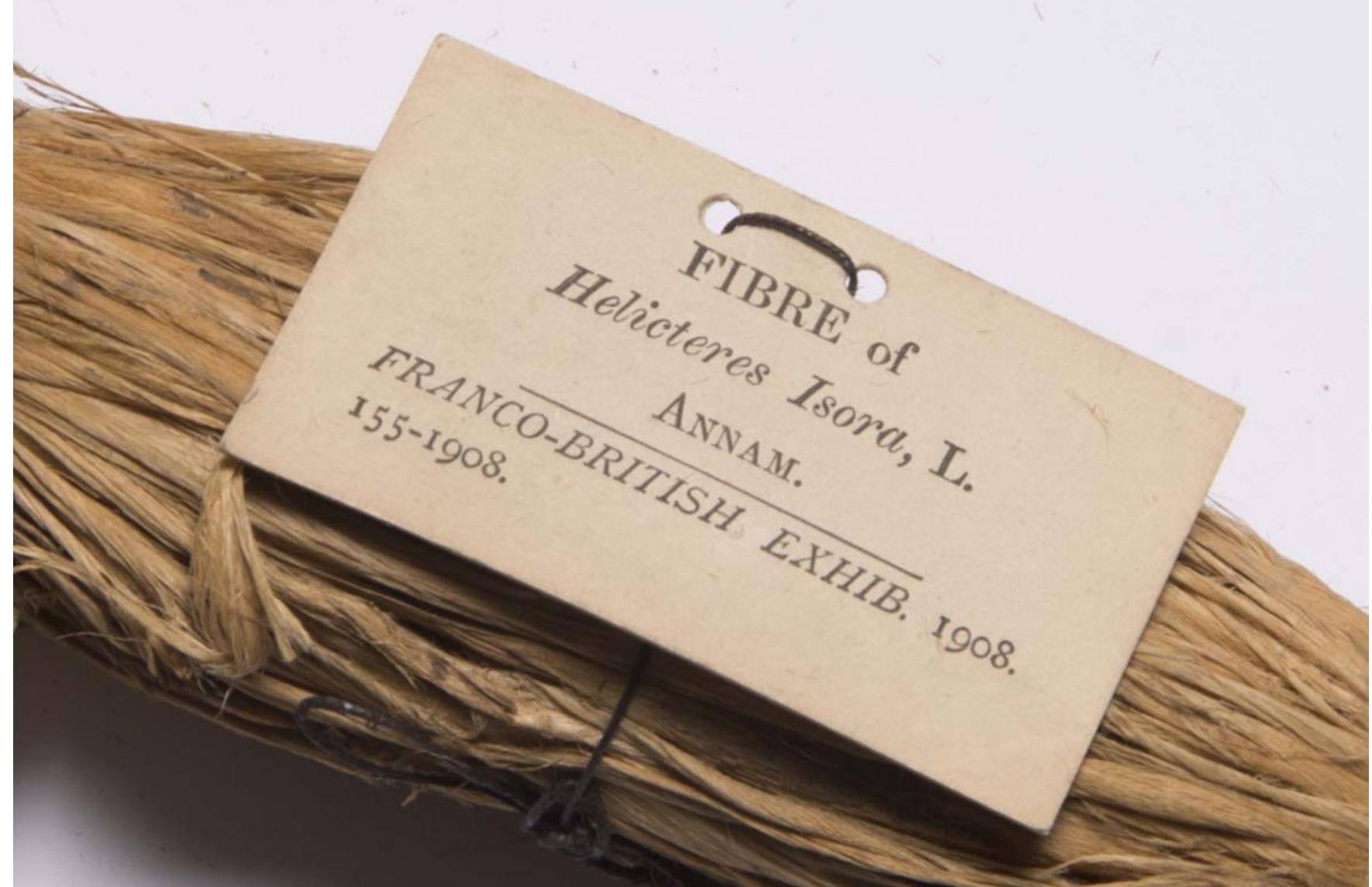 Entry book numbering system: this fibre specimen was