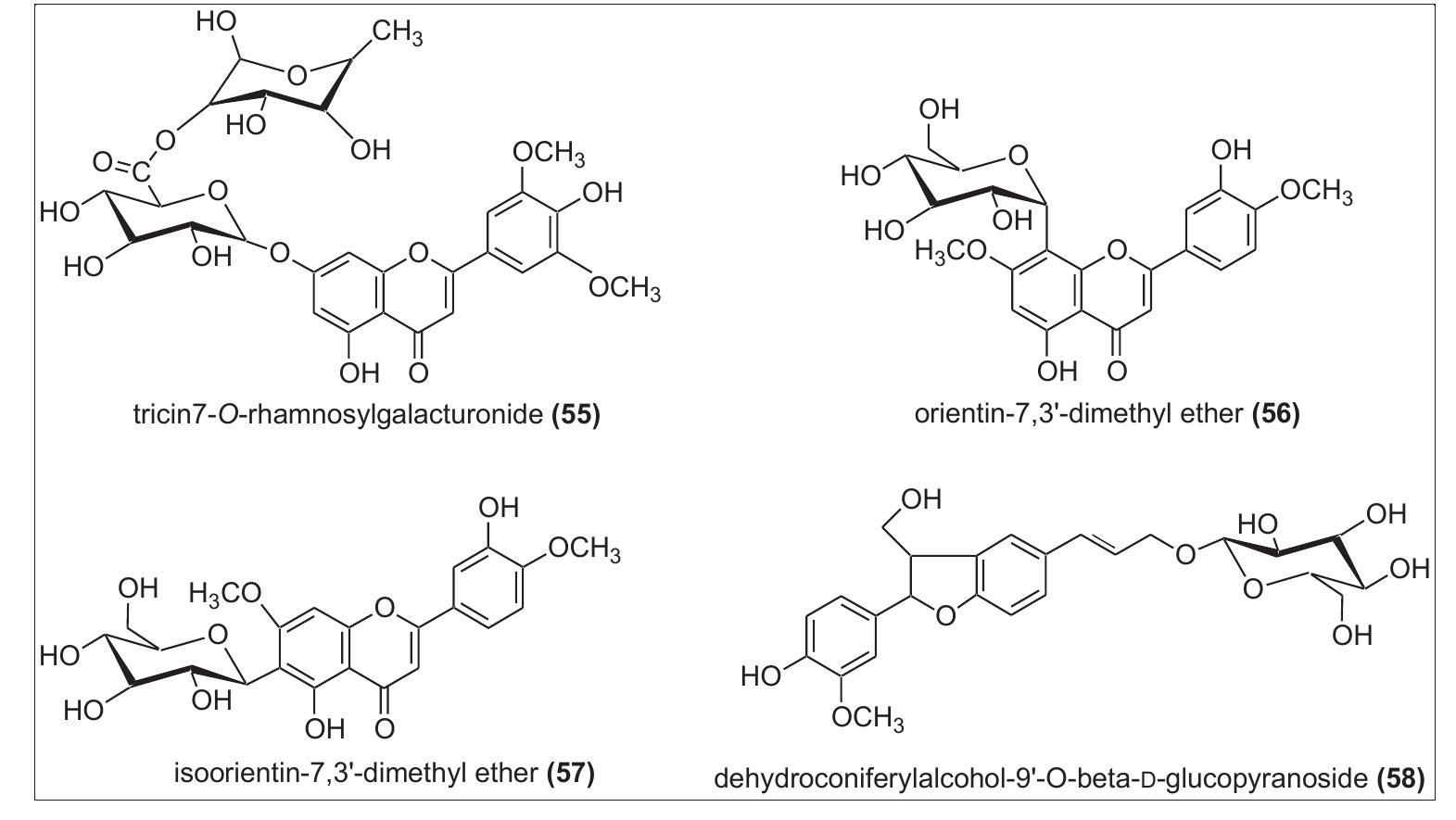 Phenolic glycosides of the sugarcane product