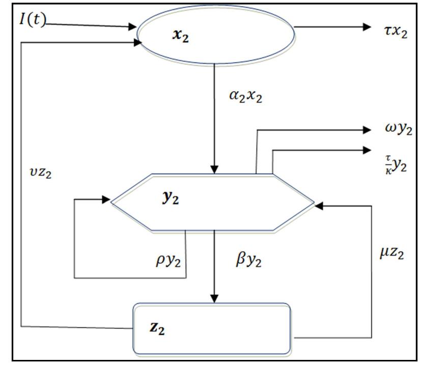 Flow diagram of human brain information processing dynamics
