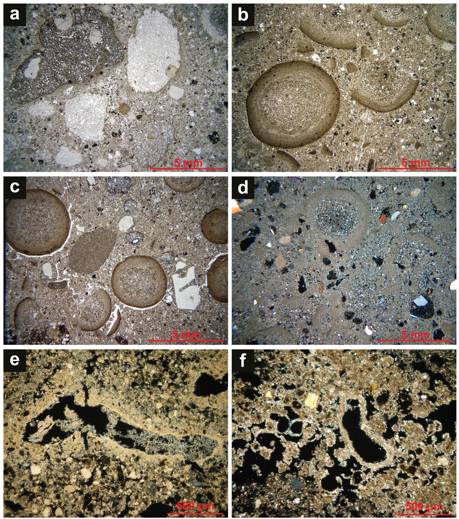 Photo-micrographs. a: armoured lapilli, note coating of fine