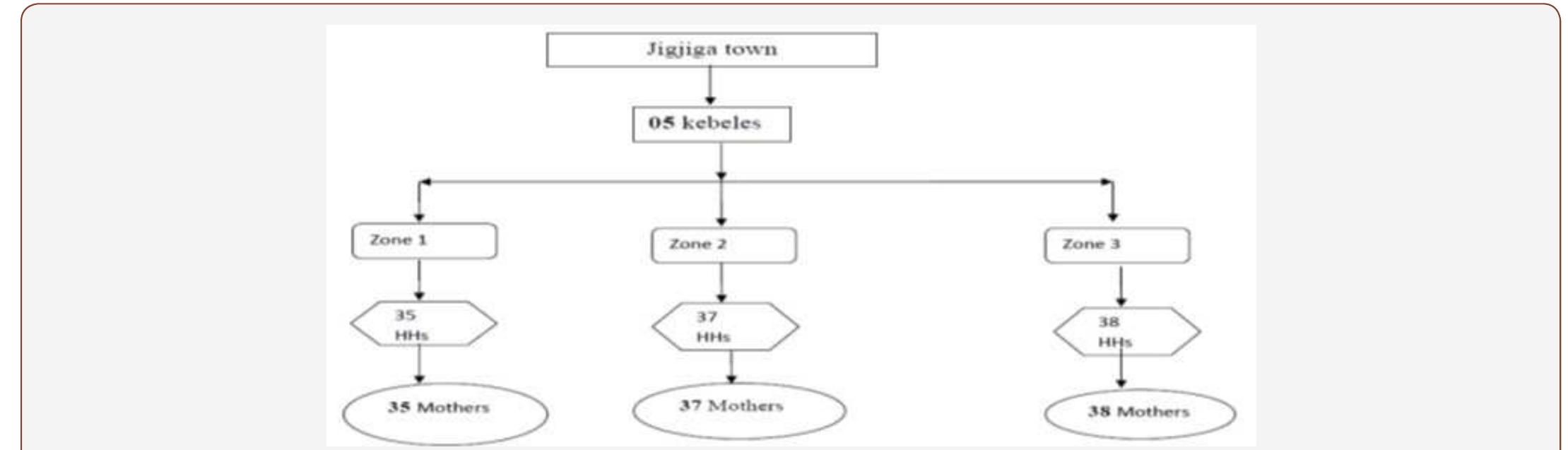 Flow chart on the sampling techniques. in this study