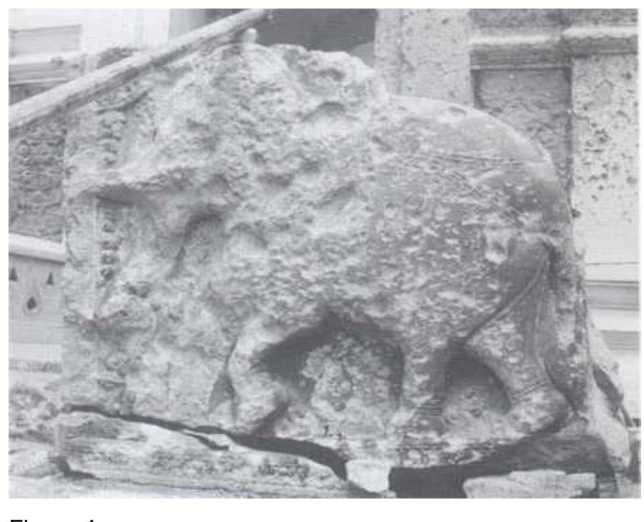 Figure 7 - Conserving the Temple of the Tooth Relic, Sri