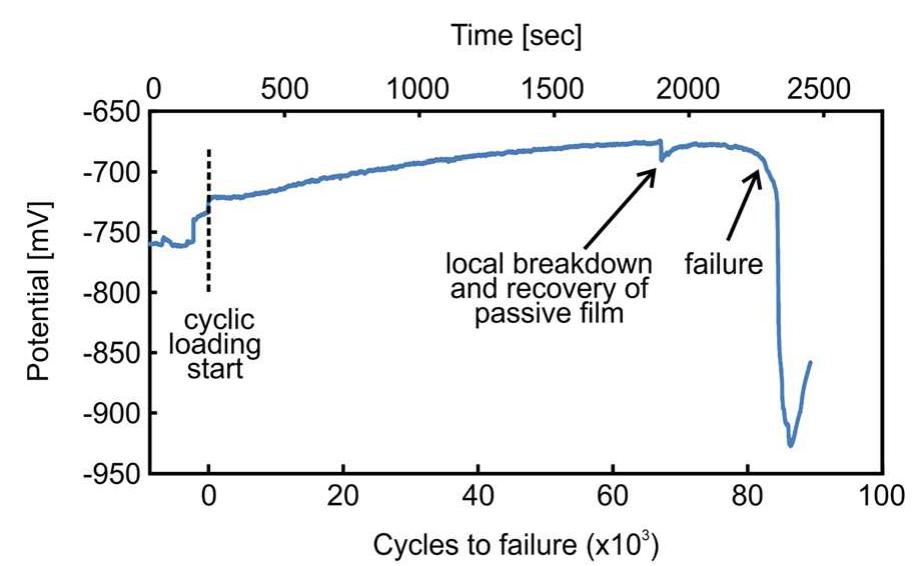 Evolution of open circuit potential (ocp) during cyclic