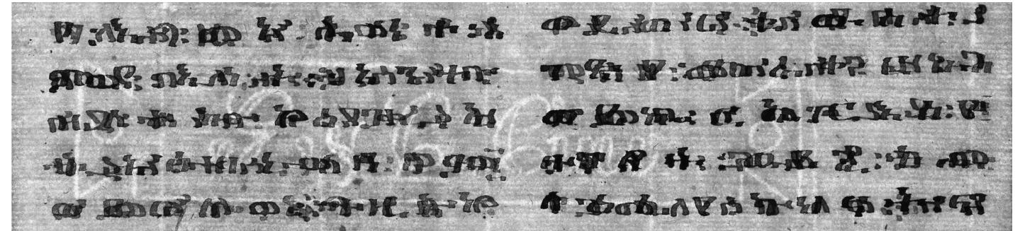 M.a.ix 2: g. & c. cini inside tabula ansata and ‘la stella’