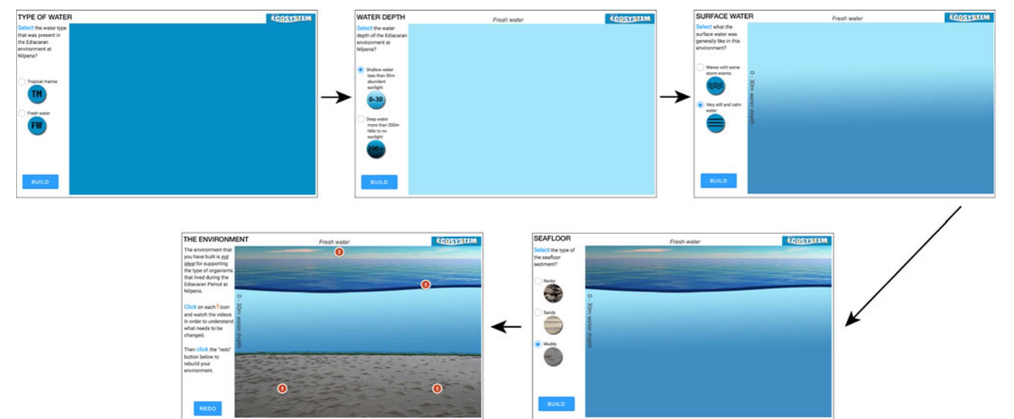 Illustration of one path through the build-an-ecosystem