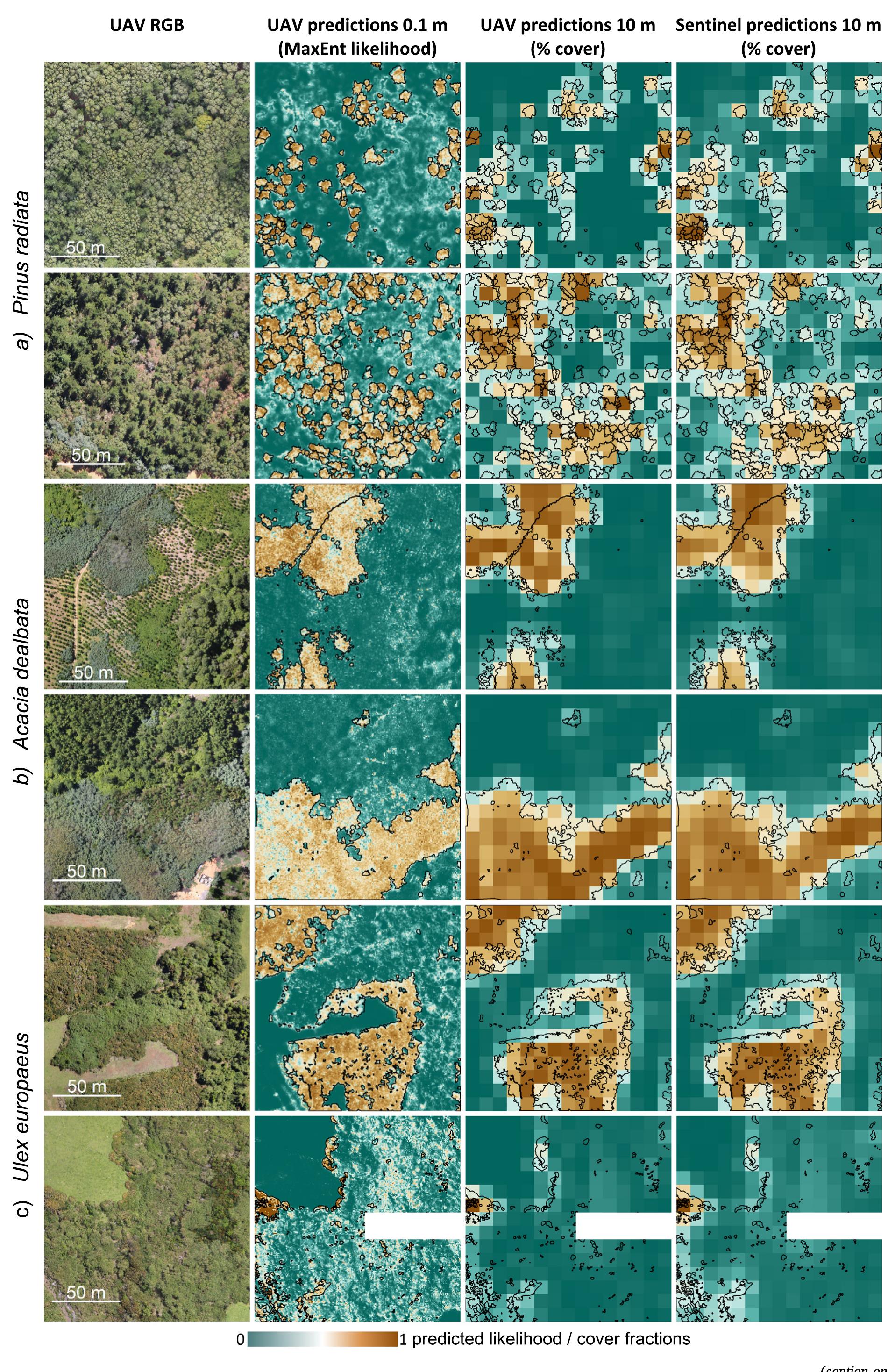 Figure 4 - UAV data as alternative to field sampling to map