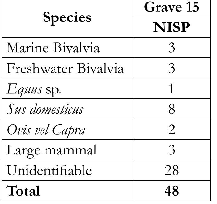 Cardiidae (marine bivalves). a radius shaft fragment of a