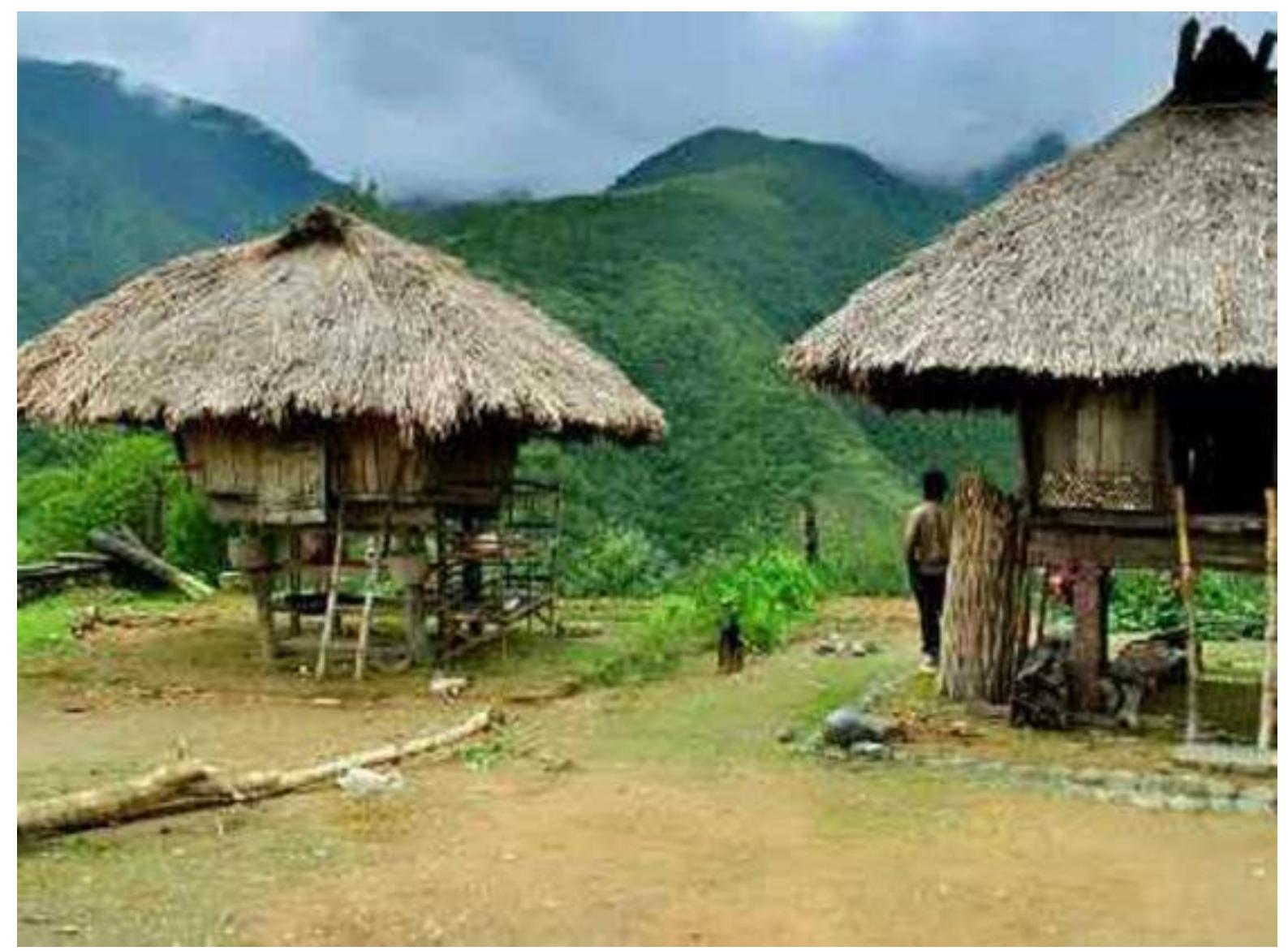 (PDF) PRECOLONIAL HOUSING IN THE PHILIPPINES