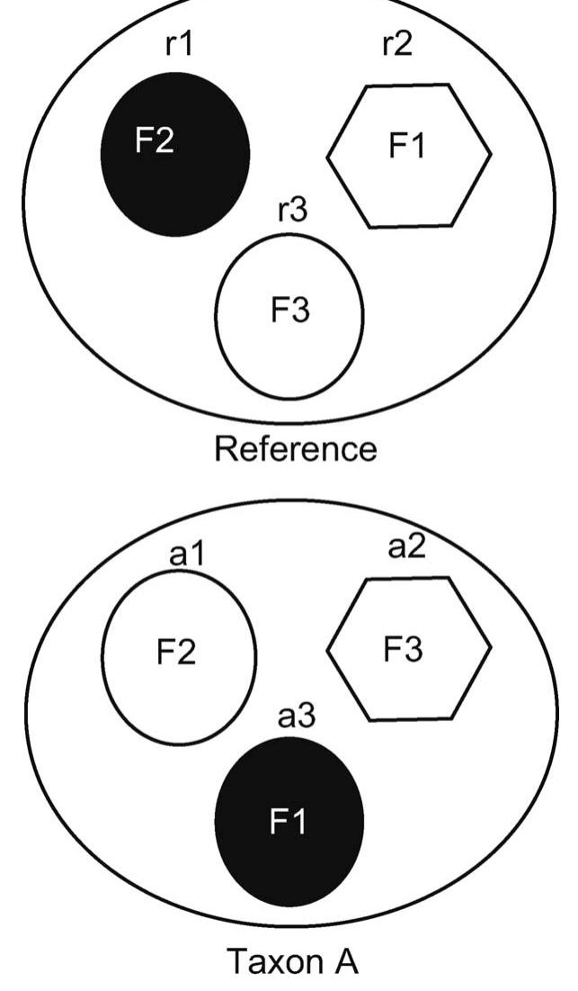 Figure 1 - MORPHOLOGY AND EVOLUTION OF COBWEB SPIDER MALE
