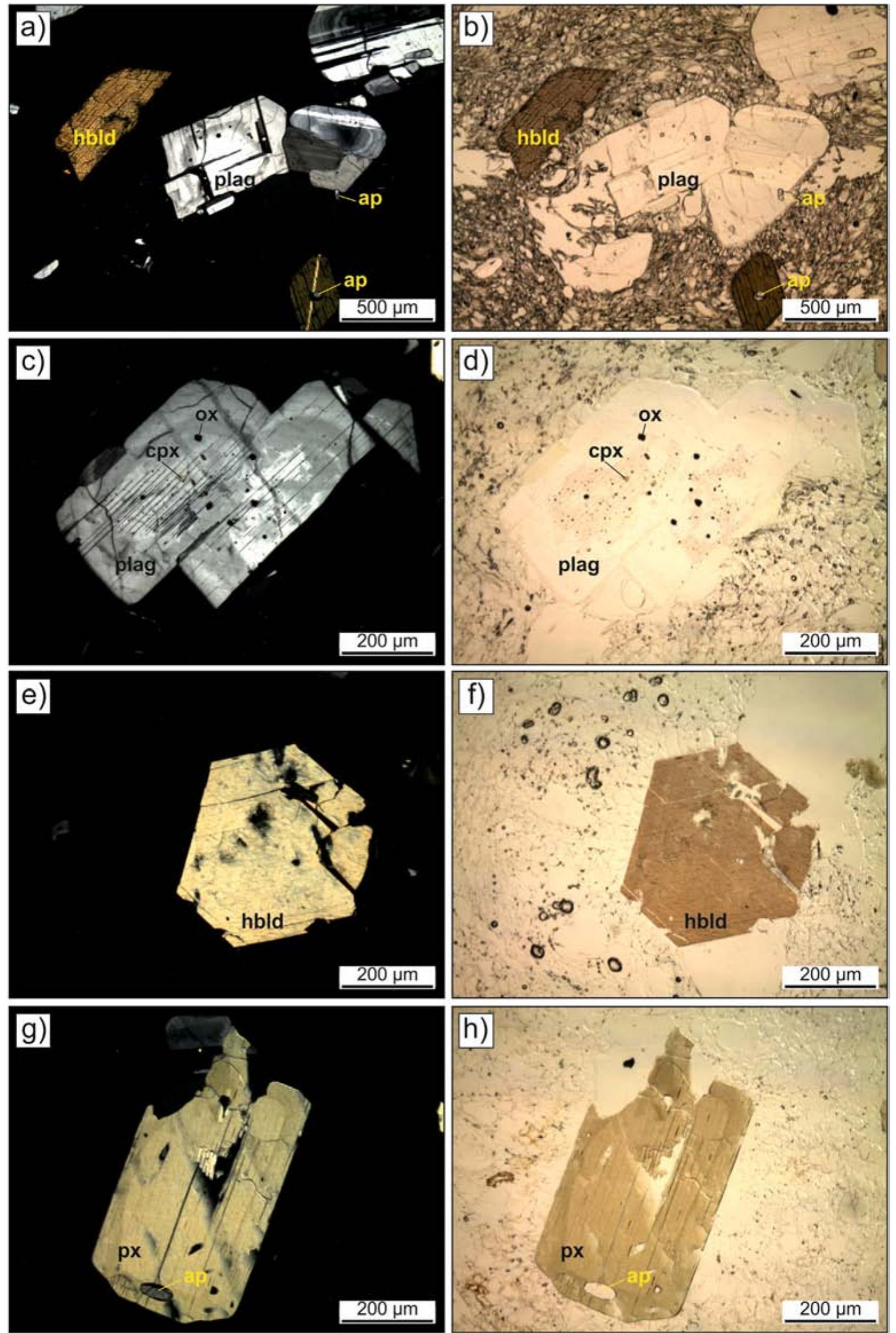 Petrographic features of the tb] eruption products: parallel