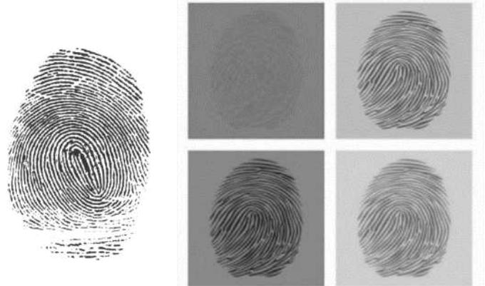Figure 1 - from Fingerprint Authentication Security An