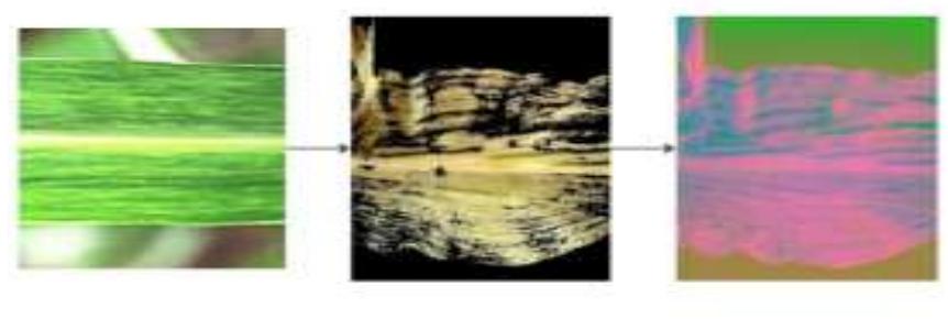 The equation used for convolutional neural network. it