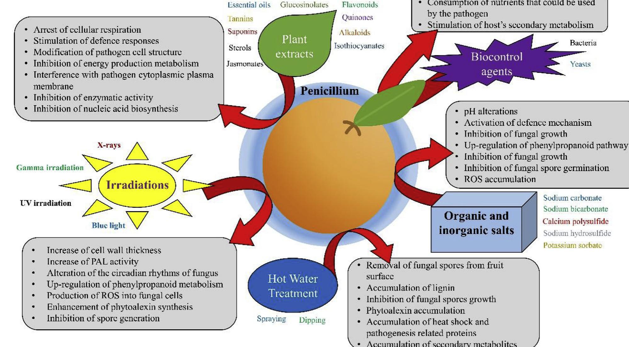 Schematic illustration of mechanisms of action for different