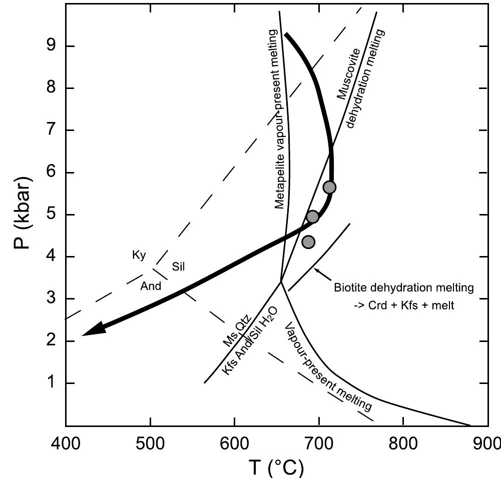Pressure-temperature diagram showing key equilibria and p-t