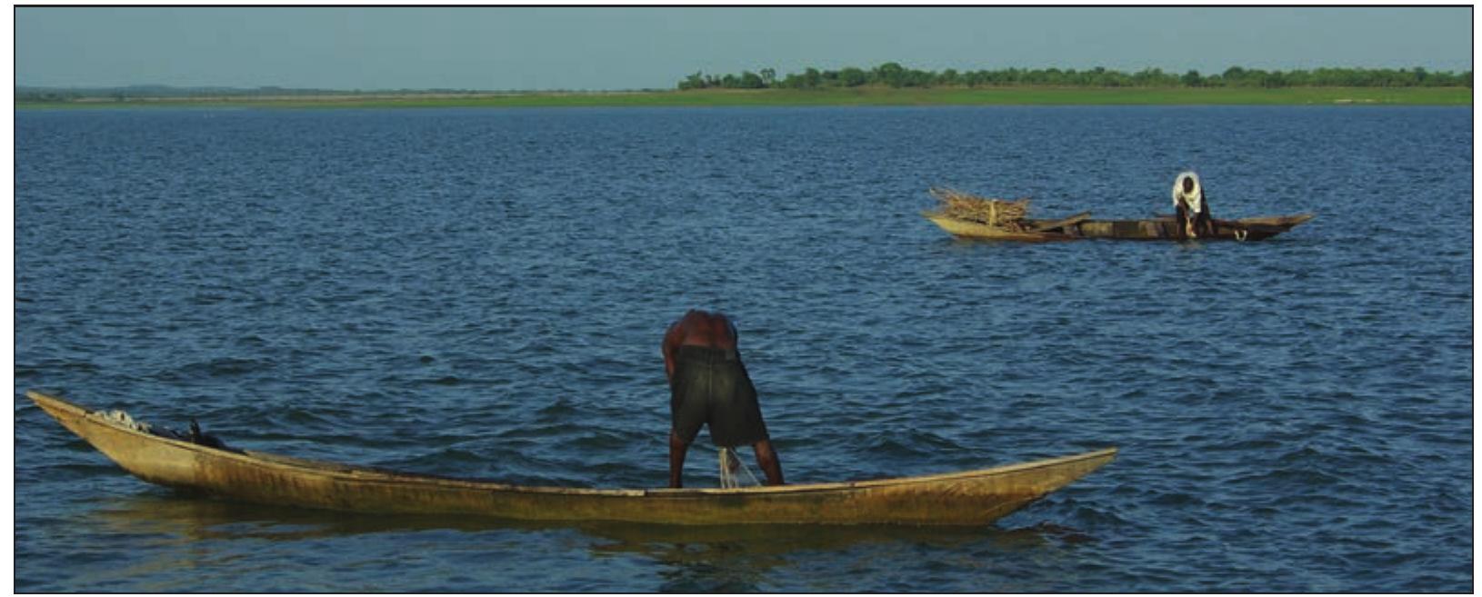 “pair trawling” for small pelagic clupeids on lake kainji,