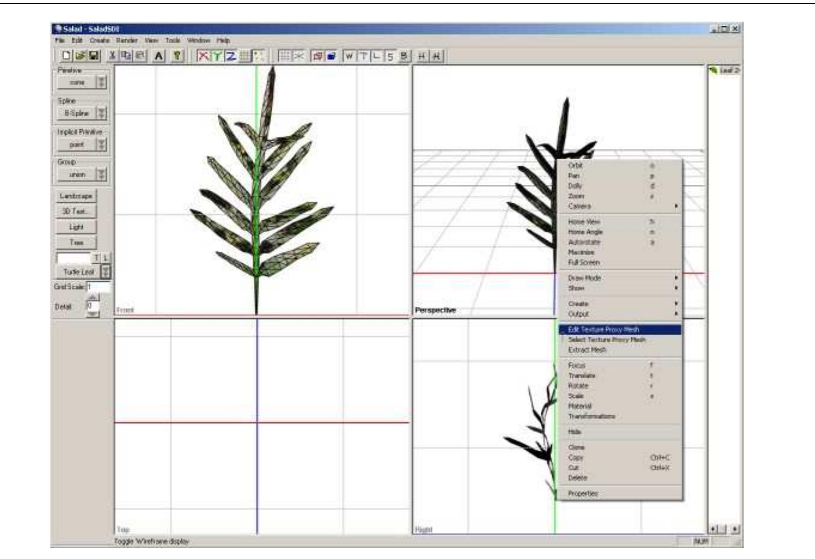 A.7: context menu, with “edit texture proxy mesh”
