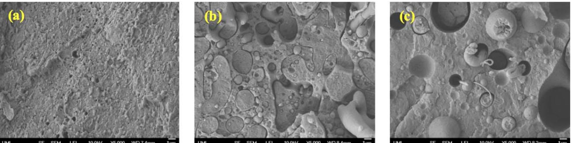 Surface morphology variations of pla/pa11 batch-blended with