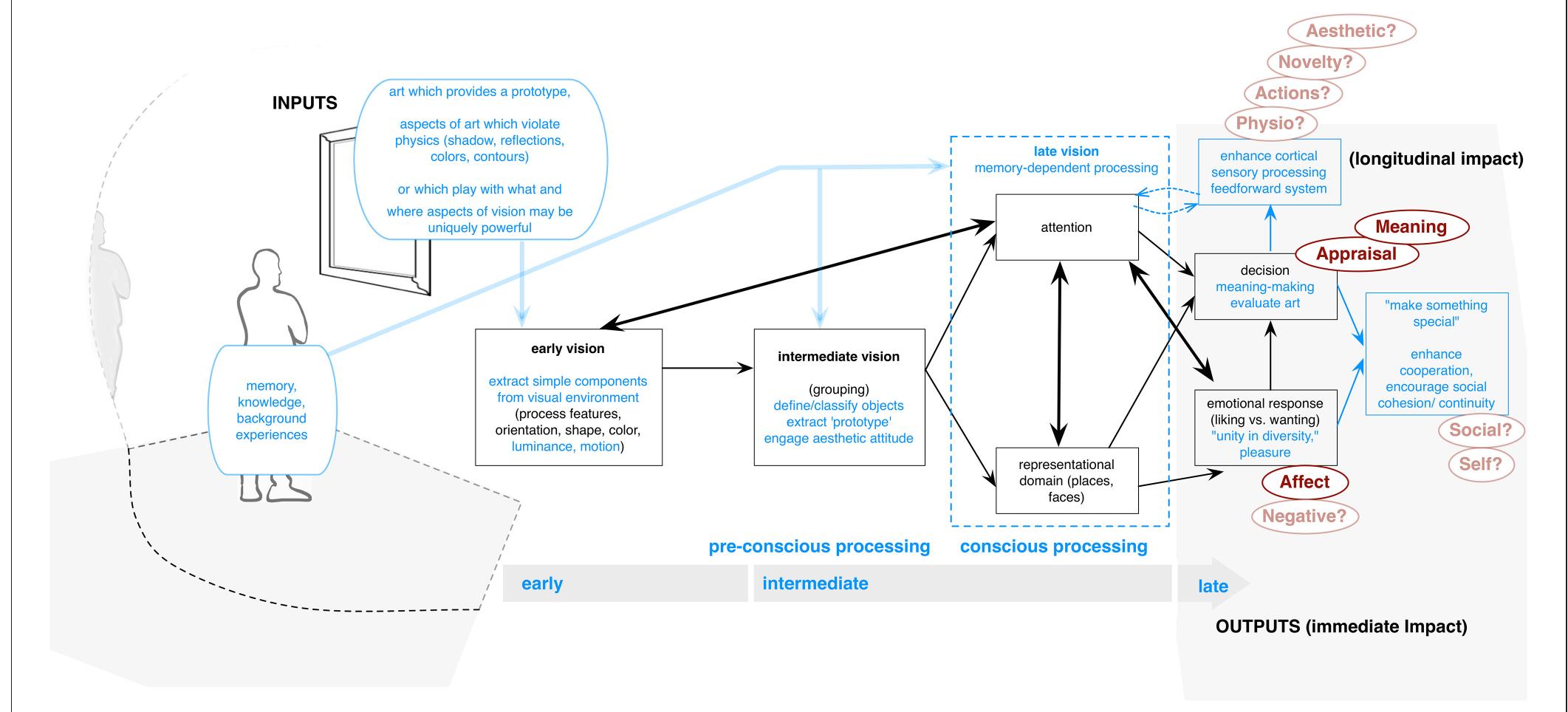 | chatterjee model adapted from original visual model in