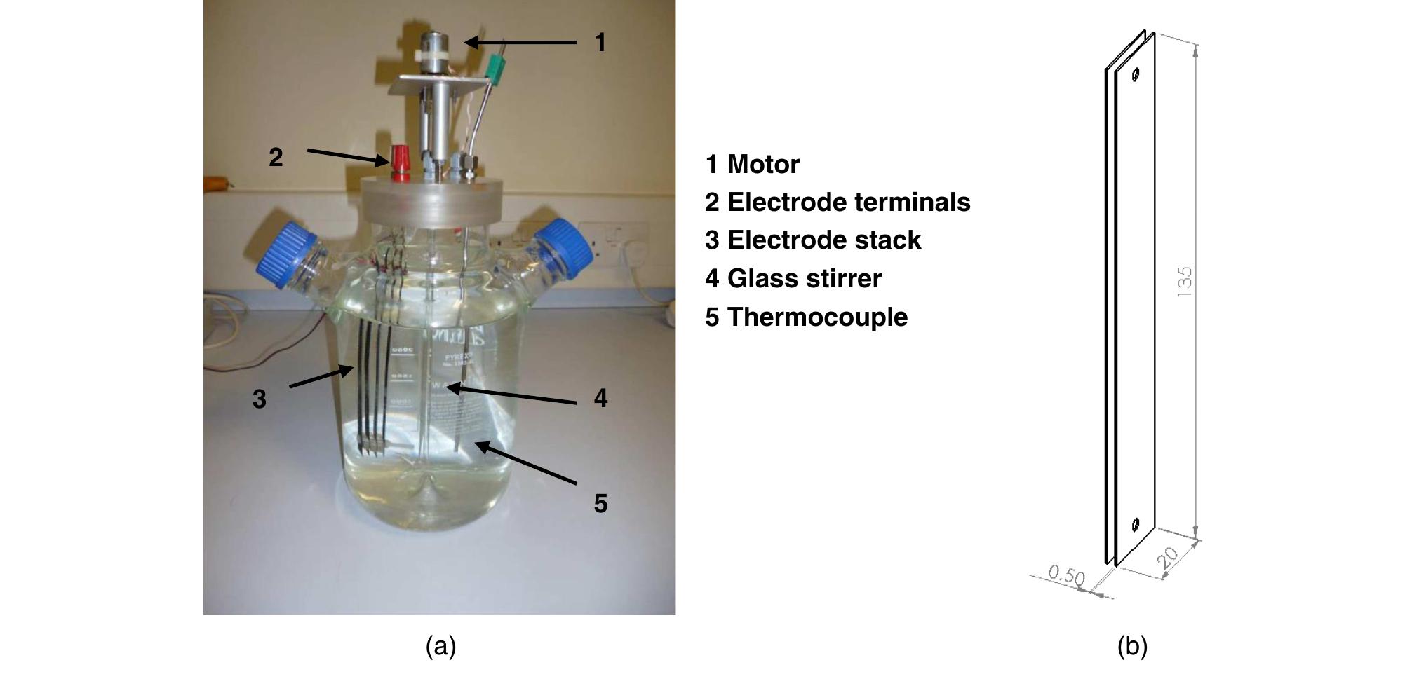 (a) experimental flask; (b) schematic of electrode sheet