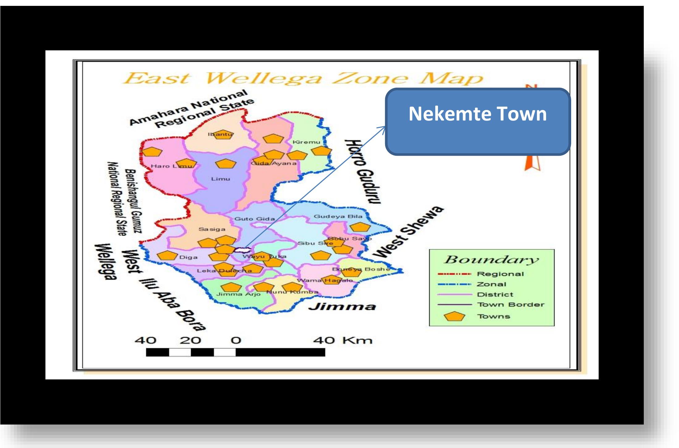 (PDF) Practices and Challenges of Urban Planning in Ethiopia: A Case of ...