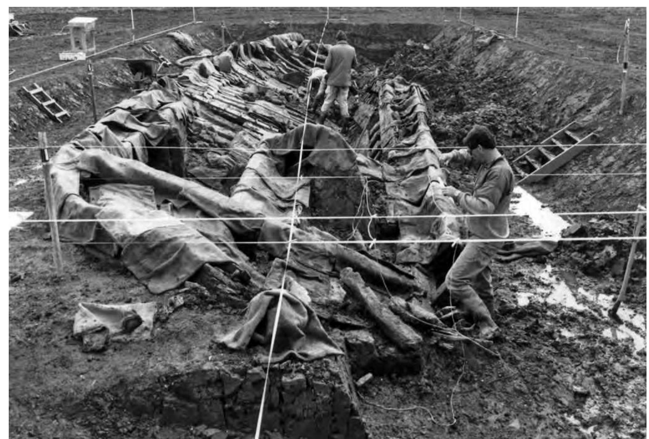 1 the excavation of an 18th-century inland trader in