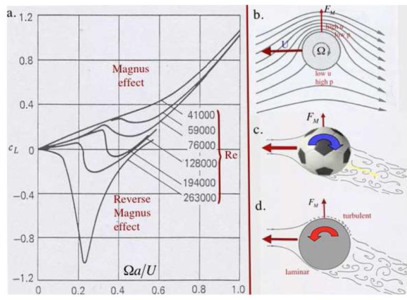 4: magnus and reverse magnus effect.