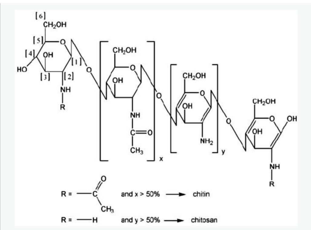 Chemical structure of chitin and chitosan. susceptible it is