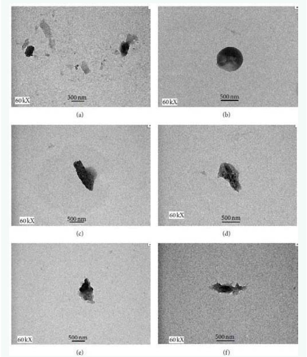 Tem images of cs nps. (a) and (b) unloaded cs nps at 0.5: 1