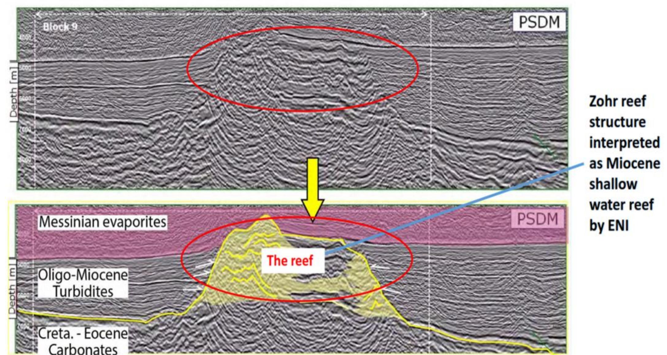 The discovery of zohr seismic character of the zohr field