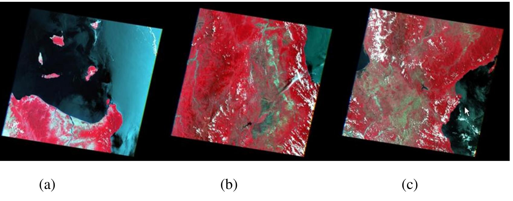 Sample landsat images of the crb shown in false color