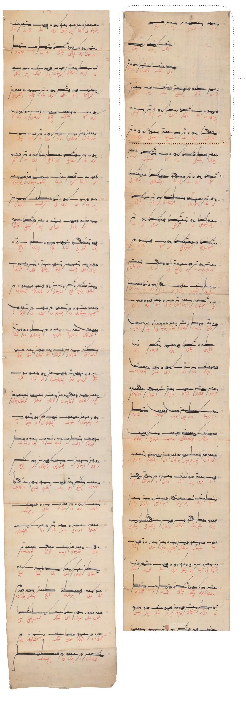 Marie Favereau - Université Paris Nanterre