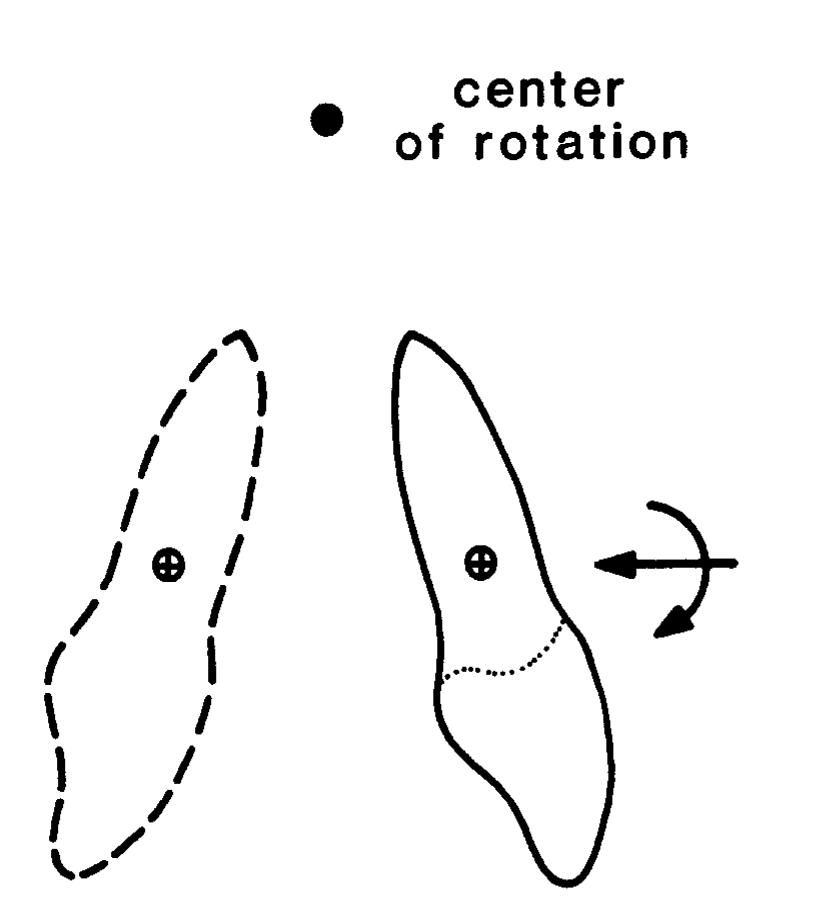 (PDF) Mechanics of tooth movement