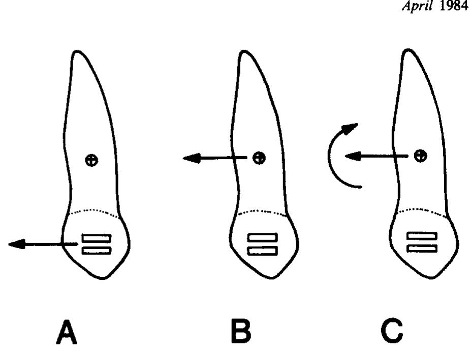 (PDF) Mechanics of tooth movement