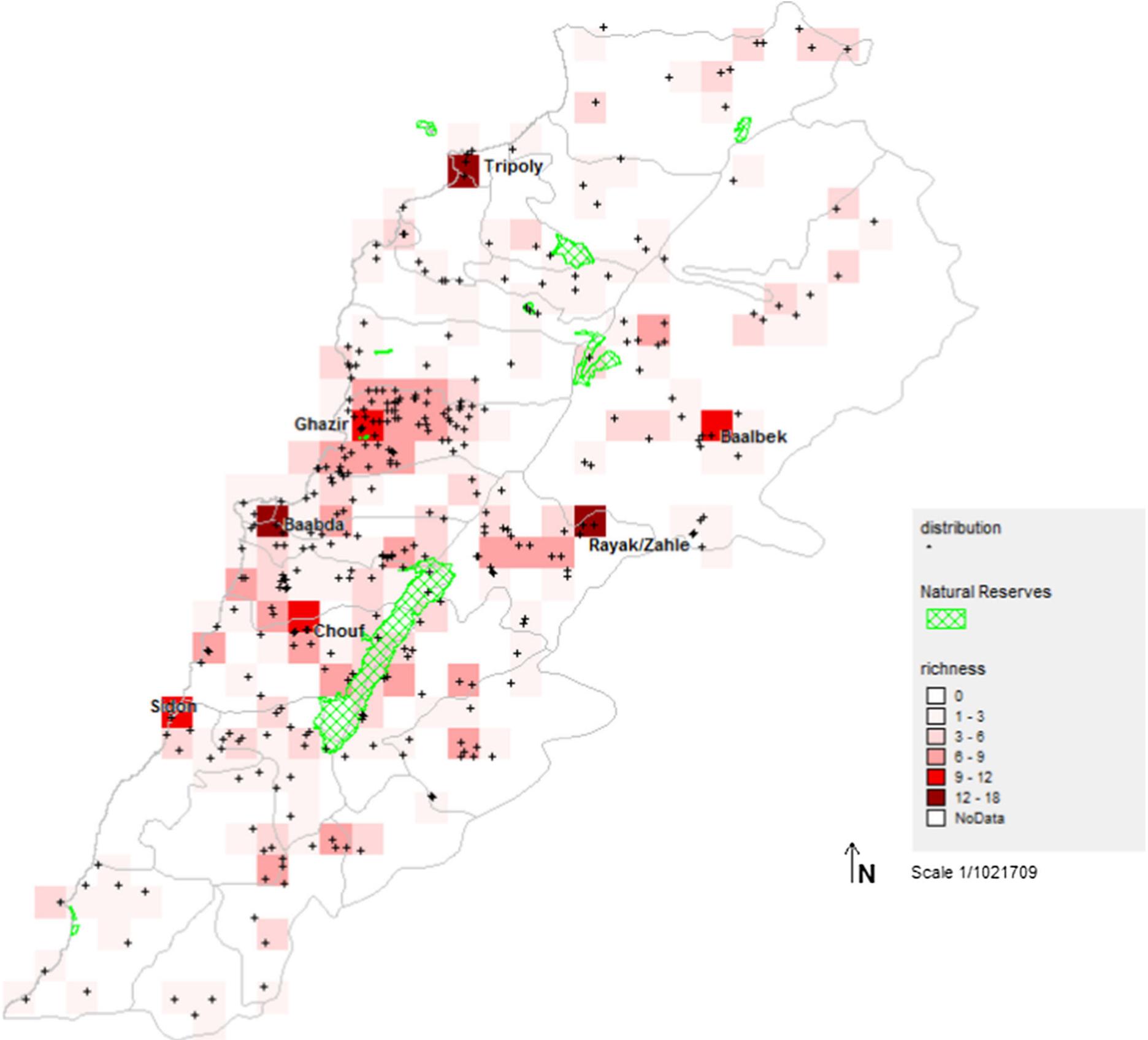 Species richness and distribution map of all the lebanese