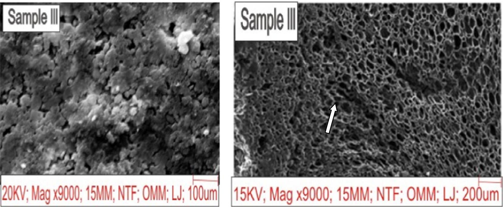 Scanning electron microscope (sem) images of biochar amended