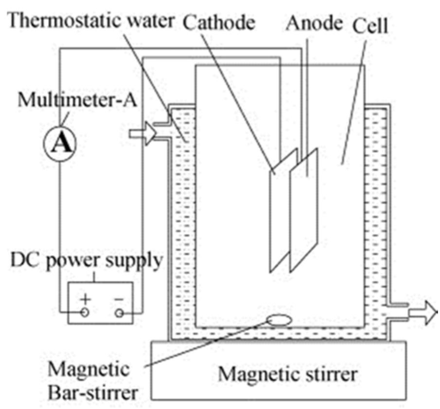 Schematic diagram of the batch ecf reactor system [90].
