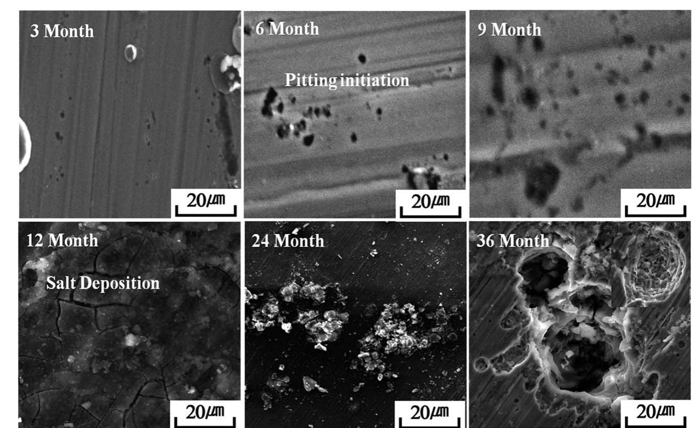 Sem images of 304 ss after atmospheric exposure in imu
