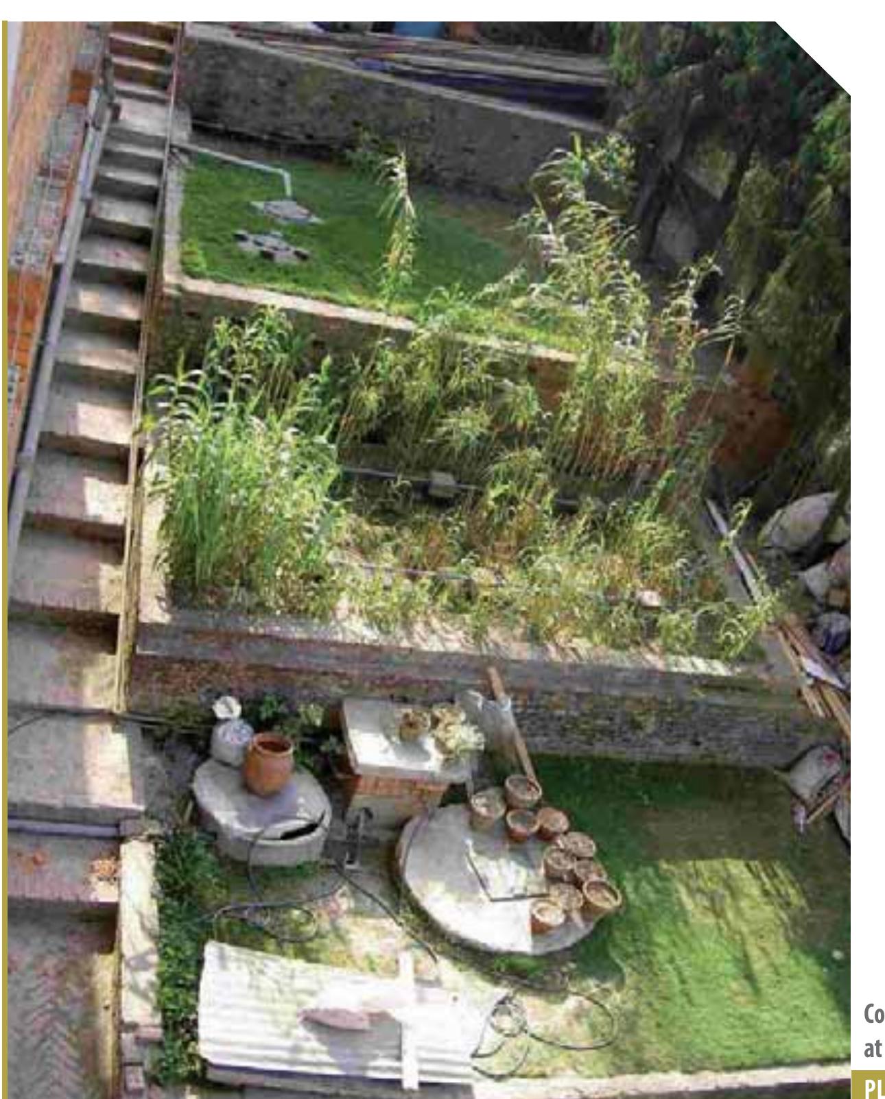 Figure 47 - CONSTRUCTED WETLANDS MANUAL United Nations Human
