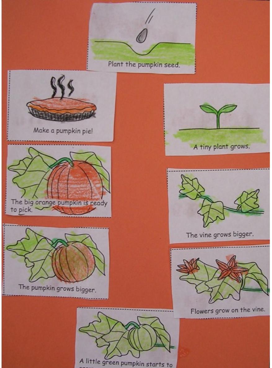 Coloring, cutting, and pasting: student work. photo taken by