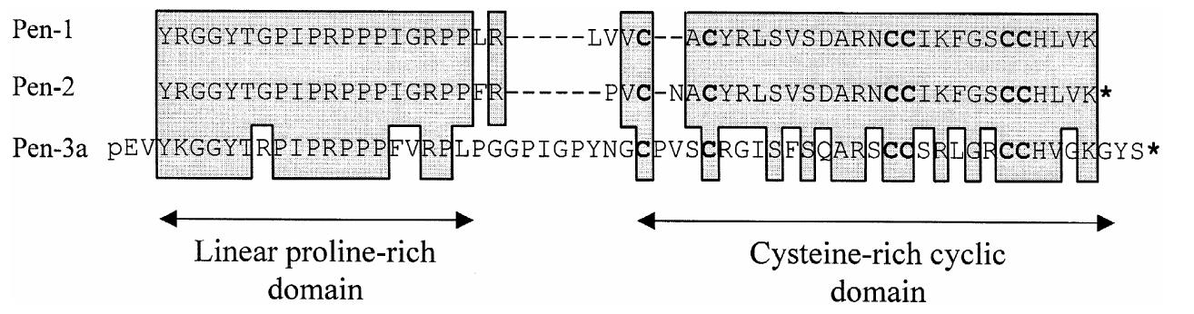 Sequence comparison of pen-1, -2 and -3 from p. vannamei.