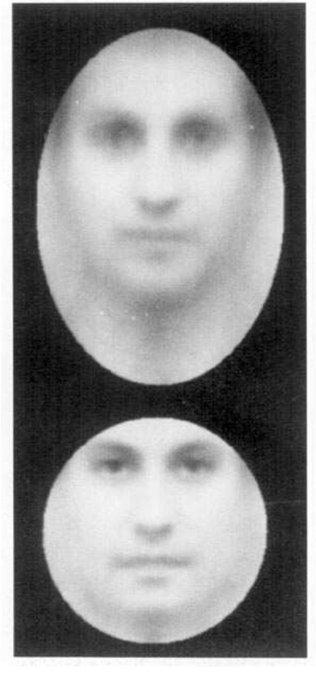 Figure 4 - Conformal mapping-based image processing: Theory
