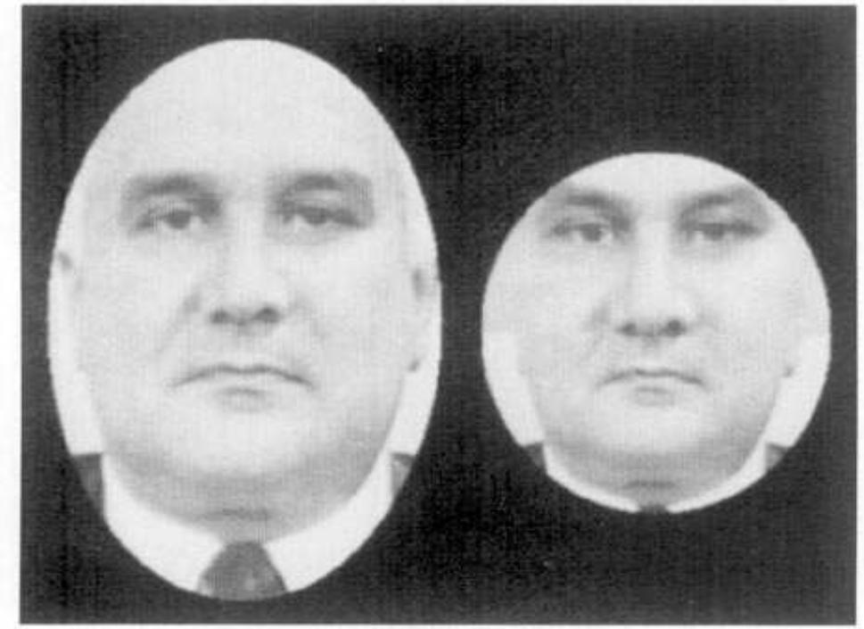 Figure 5 - Conformal mapping-based image processing: Theory