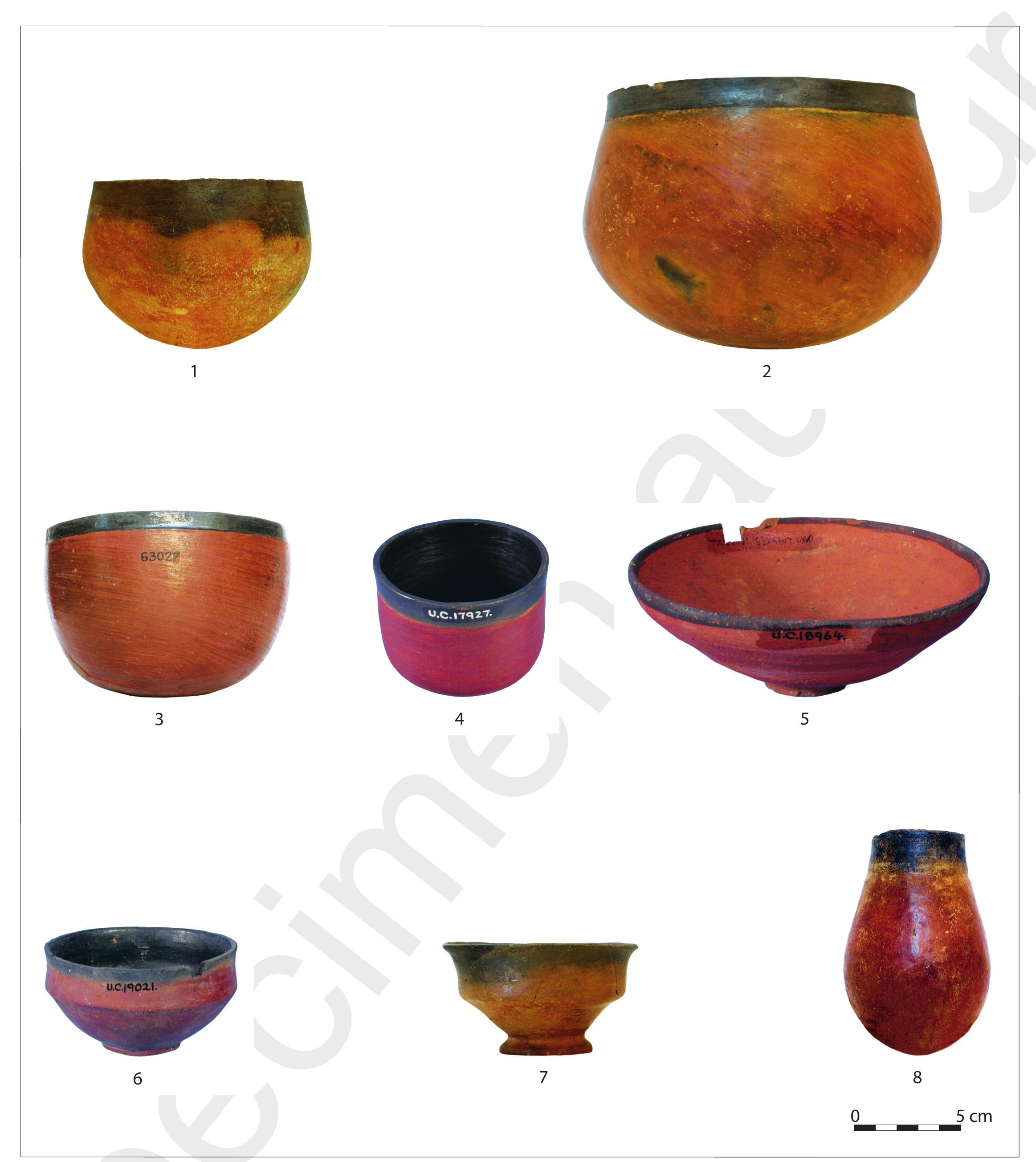 Figure 1 - Paint it Black: Pan-Grave Black-Topped and