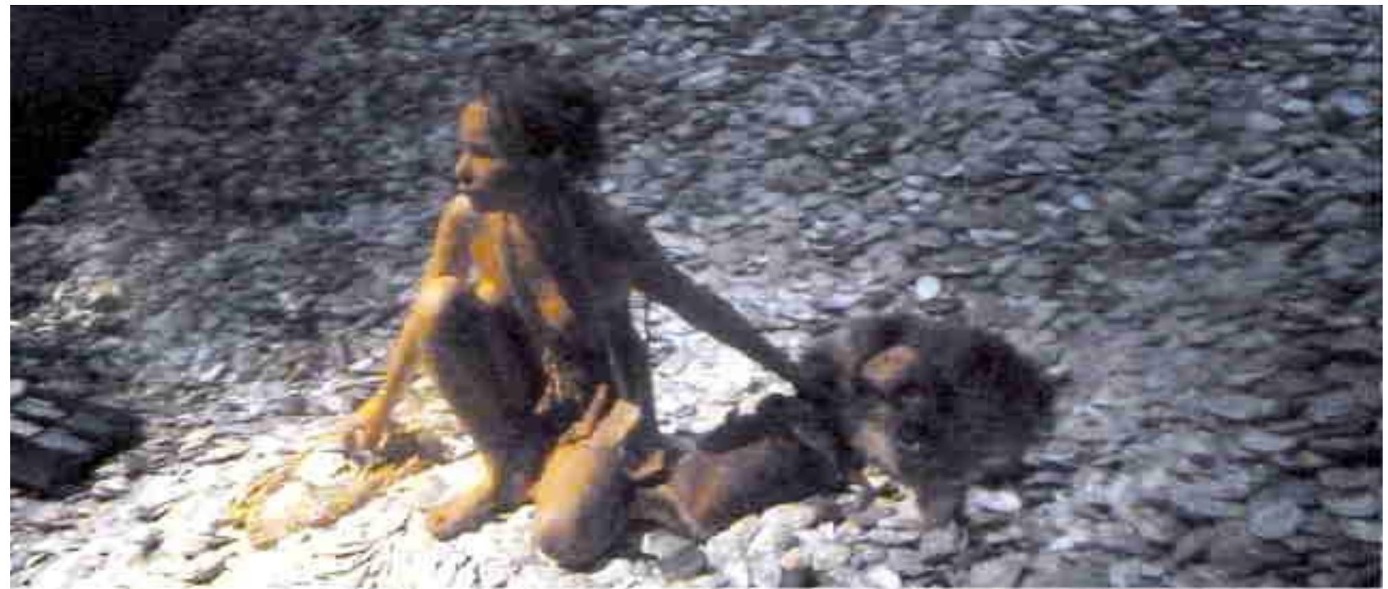 Figure 6 - The Stone Age, Bronze Age and Iron Age