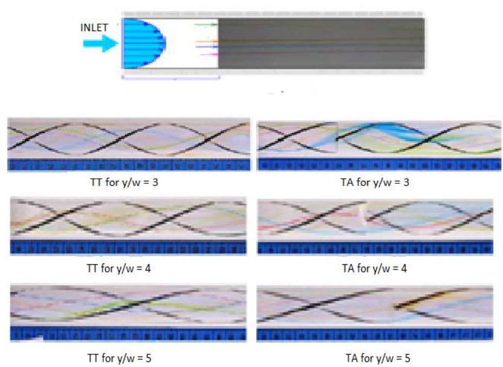 [1] axial and swirl flow patterns by dye injection