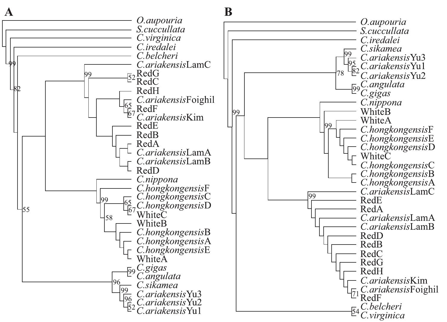 Phylogenetic trees based on neighbor-joining (a) and