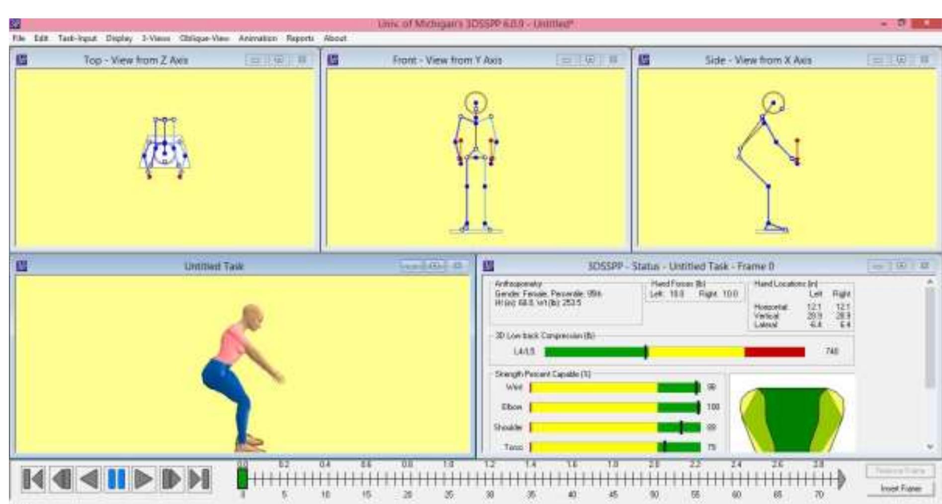 Male anthropometry analysis 95 percentile female
